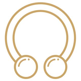 Horseshoe Piercing – PiercingXXL