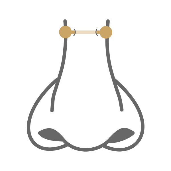 Bridge Piercing – PiercingXXL