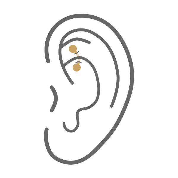 Rook Piercing – PiercingXXL