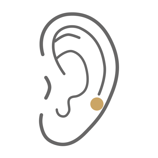 Upper Lobe Piercing – PiercingXXL